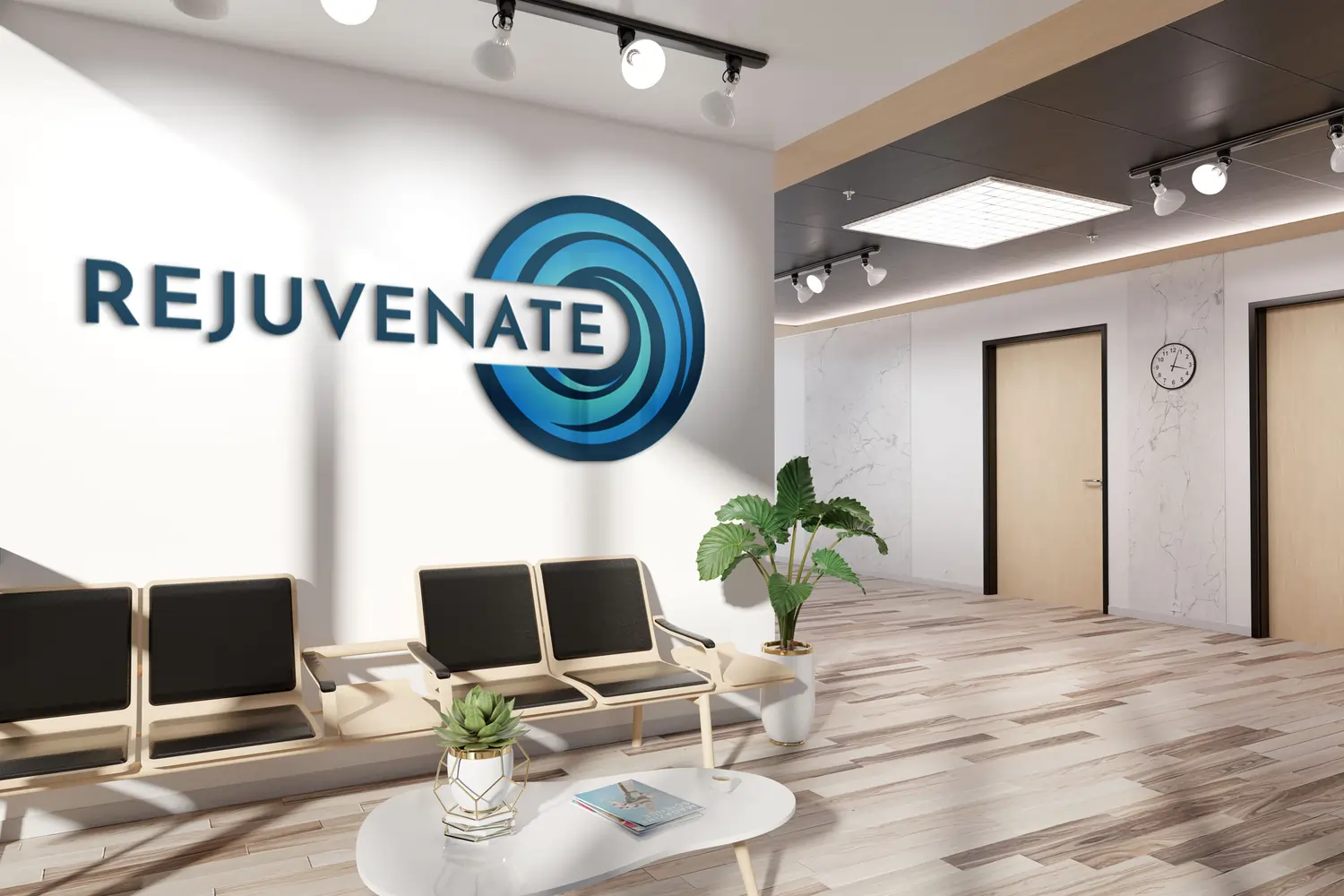 Lure Creative Case Study: Rejuvenate KC